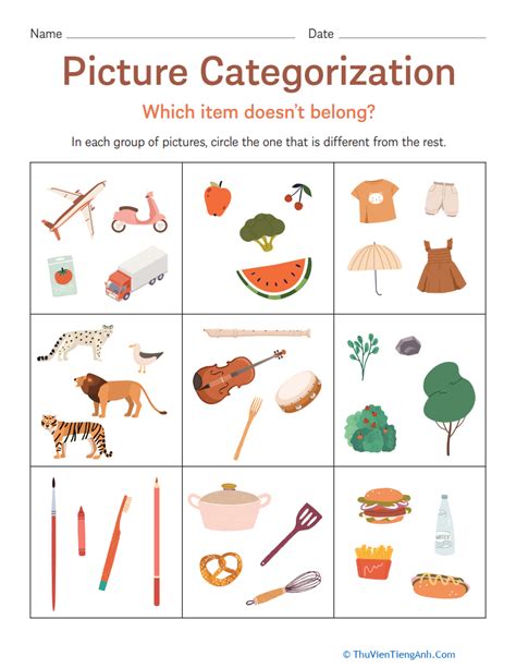 Picture Categorization Thư Viện Tiếng Anh