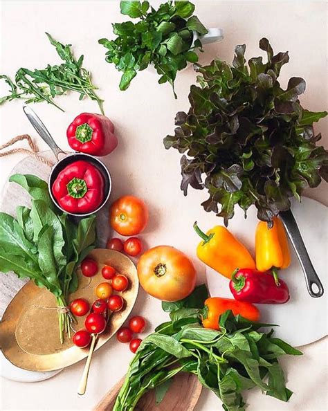 Hydroponics Soil Less Farming Bindu Gopal Rao Freelance Writer