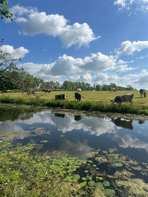 Hand And Dagger Hand And Dagger Added A New Photo