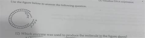 Biology 201 Final Unit 4 6 Flashcards Quizlet