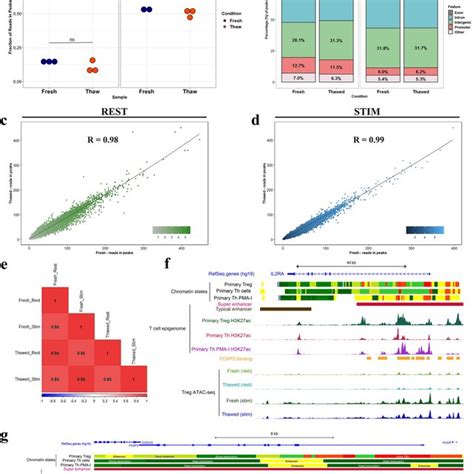 Chromatin Accessibility Is Maintained Through Cryopreservation A The