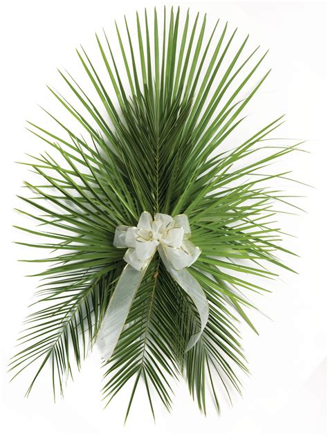 Palm And Ashes Church Supplies Palm Ashes Bag For 1 000