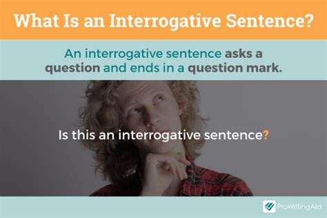 Interrogative Sentence