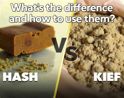 Kief Vs Hash Key Differences Uses And Storage Tips Cbd Boxes