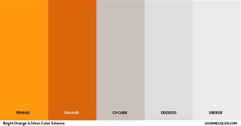 Bright Orange And Silver Color Scheme Palettes
