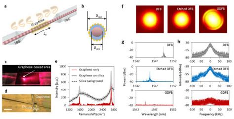 Structure Of The Graphene Based Dfb Fiber Laser Gdfb Fl A Download Scientific Diagram