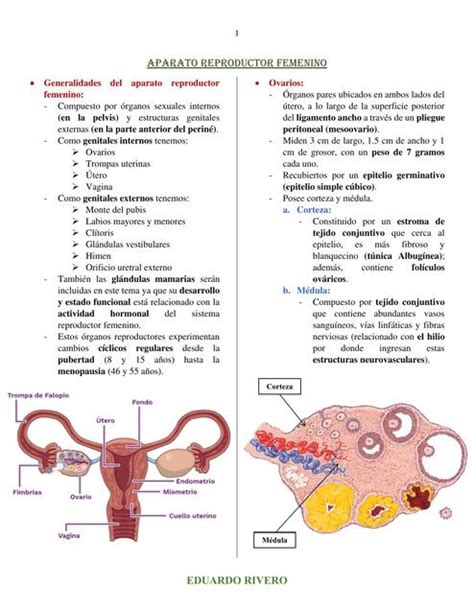 Histo Udocz