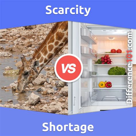 Scarcity Vs Shortage Understanding The Key Differences