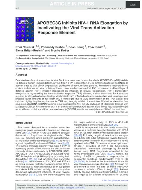 Pdf Apobec3g Inhibits Hiv 1 Rna Elongation By Inactivating The Viral Trans Activation Response