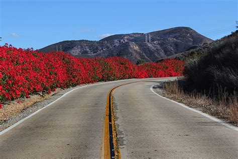 Camarillo Grove Park Pleasant Valley Recreation And Park District