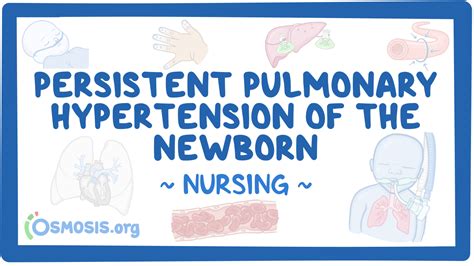 Persistent Pulmonary Hypertension Of The Newborn Pphn Nursing Video And Causes Osmosis