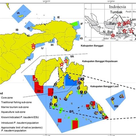 Fluorescent Emsa Using Cy5 Labeled Dna Fragments And Purified Download Scientific Diagram