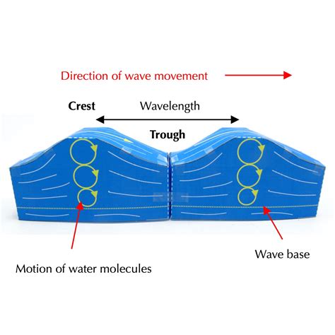 Ocean Waves Origami Organelles