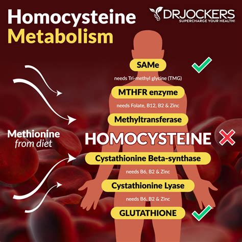 What Are Your Homocysteine Levels