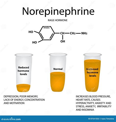 Norepinephrine Hormone Pathway Cartoon Vector