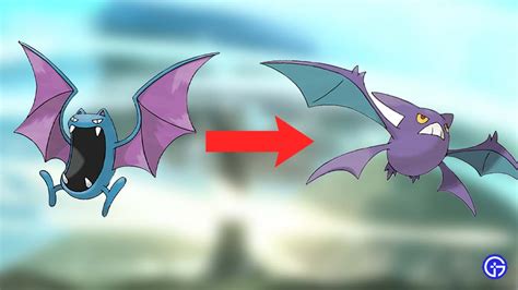 How To Evolve Golbat In Pokemon Legend Arceus Requirements