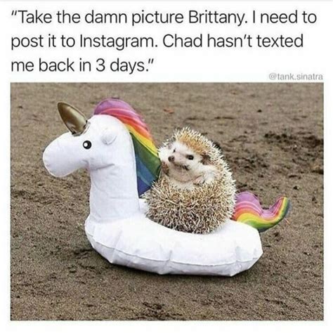 35 Sarcastic And Witty Memes To Make You Roll On The Floor Laughing