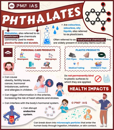 What Are Phthalates
