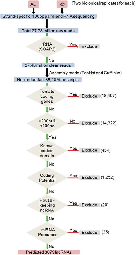 Detailed Schematic Diagram Of The Informatics Pipeline For