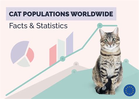 How Many Pet Cats Are There In The World 2025 Updated Statistics
