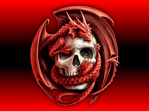 Skull Wallpapers Top Free Skull Backgrounds Wallpaperaccess