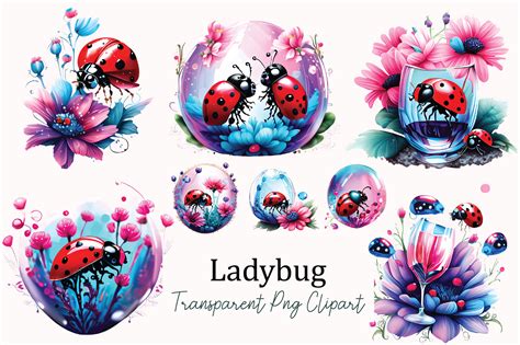 Ladybug Graphic By Colourful · Creative Fabrica