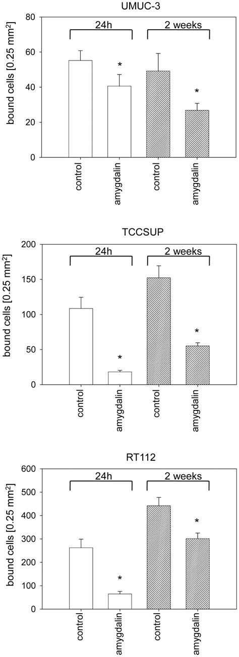 Adhesion Of Umuc 3 Tccsup And Rt112 Bladder Cancer Cells To Download Scientific Diagram