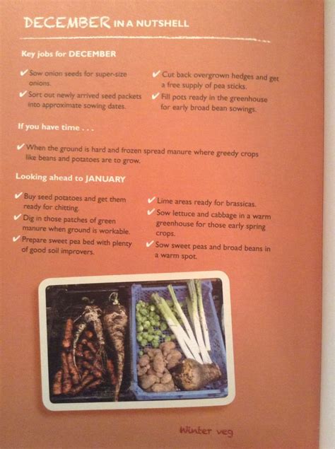 Veg Patch December Veg Patch Seed Packets Gardening Tips
