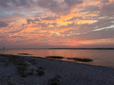 What To Do At Greenwich Point Beach Tods Point • Svadore