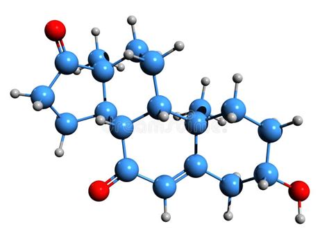 3d Image Of 7 Keto Dhea Skeletal Formula Stock Illustration