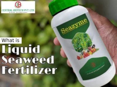 How To Use Liquid Seaweed Fertilizer For Faster Growth