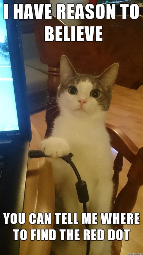 My Meme Attempt Calmly Threatening Cat Meme On Imgur