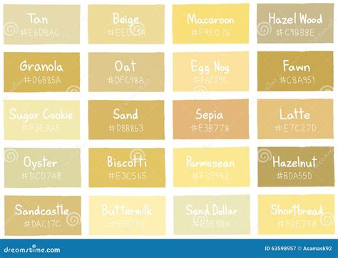 Tan Tone Color Shade Background With Code And Name Stock Vector Image