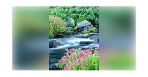 Charles Ray Chuck Mcnutt Jr Obituary 2023 Calhoun Ga Max Brannon And Sons Funeral Home