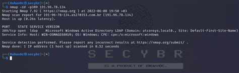 Ldap Pentesting Best Practices Secybr Penetration Testing Red