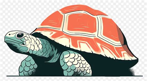 海龟 橙色和白色的海龟用后腿站立png图片素材下载图片编号11313559 Png素材网