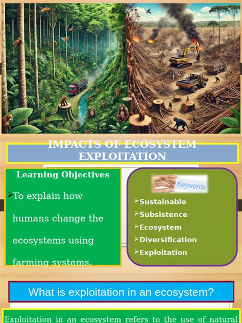 Ecosystem Exploitation Pdf Agriculture Ecosystem