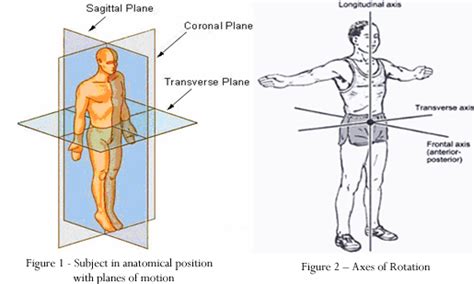Bilateral Axis Frontal Horizontal