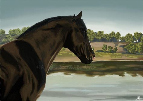 Clip Clop Horse Collection By Barnulv23 On Deviantart