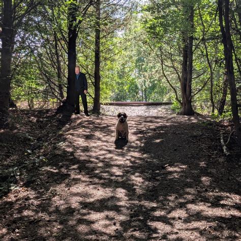 Two Chubby Cubs Slimming And Sass