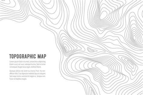 Topographic Map Grid Texture Relief Contour Sea Navigation Contour