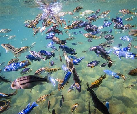 5 Reasons To Make Lake Malawi Your Next Destination A Luxury Travel Blog