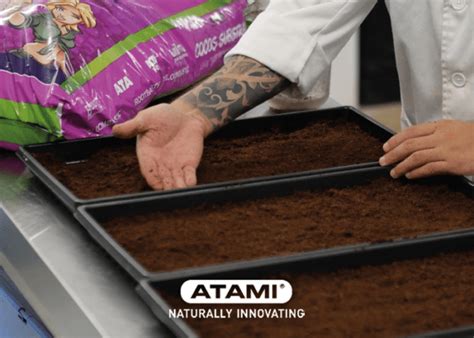 Choosing The Best Growing Medium Find The Right Fit For Your Plants