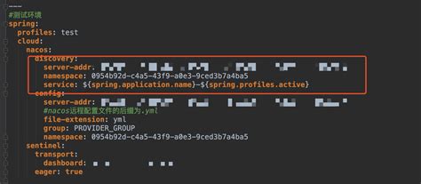 Nacos控制面板中服务列表的命名空间分组失效 · Issue 2033 · Alibabanacos · Github