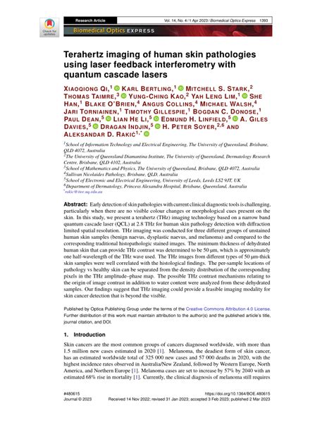 Pdf Terahertz Imaging Of Human Skin Pathologies Using Laser Feedback