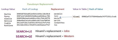 Consistent Self Updating And Secure Pseudonymization Iri