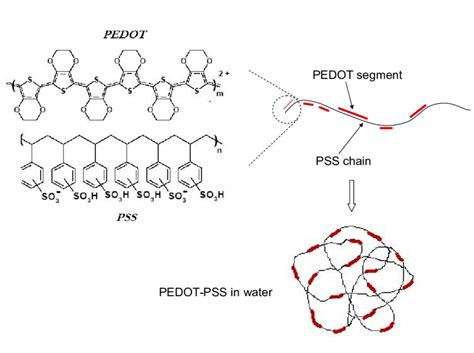 2 Schematic showing chemical structure of PEDOT-PSS and its globular... | Download Scientific ...