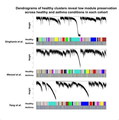 Inhaler Colors Chart