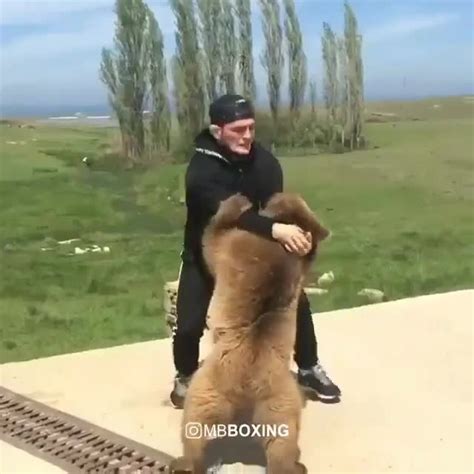 تمرینات حبیب نورماگومدوف عقاب Ufc 👑🥊 طرفداری