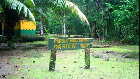 Conoce El Parque Nacional Darién Darién Provincia